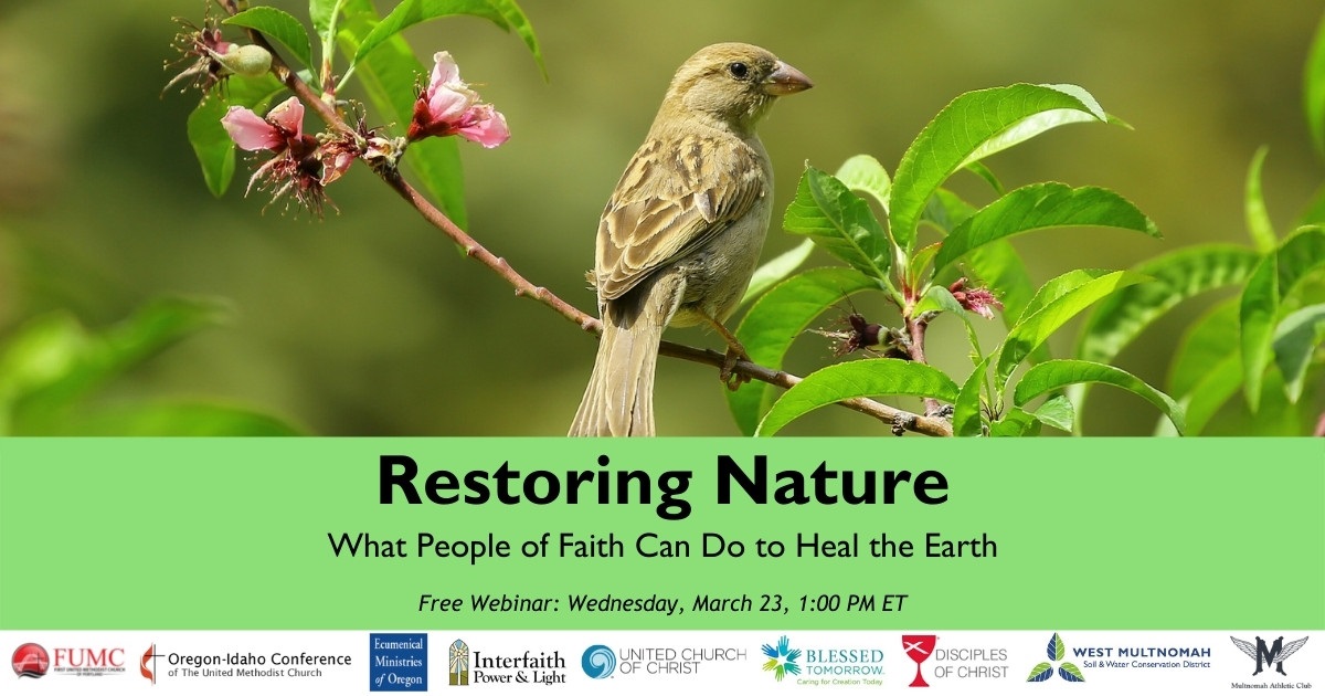 Restoring Nature: What People of Faith Can Do to Heal the Earth ...