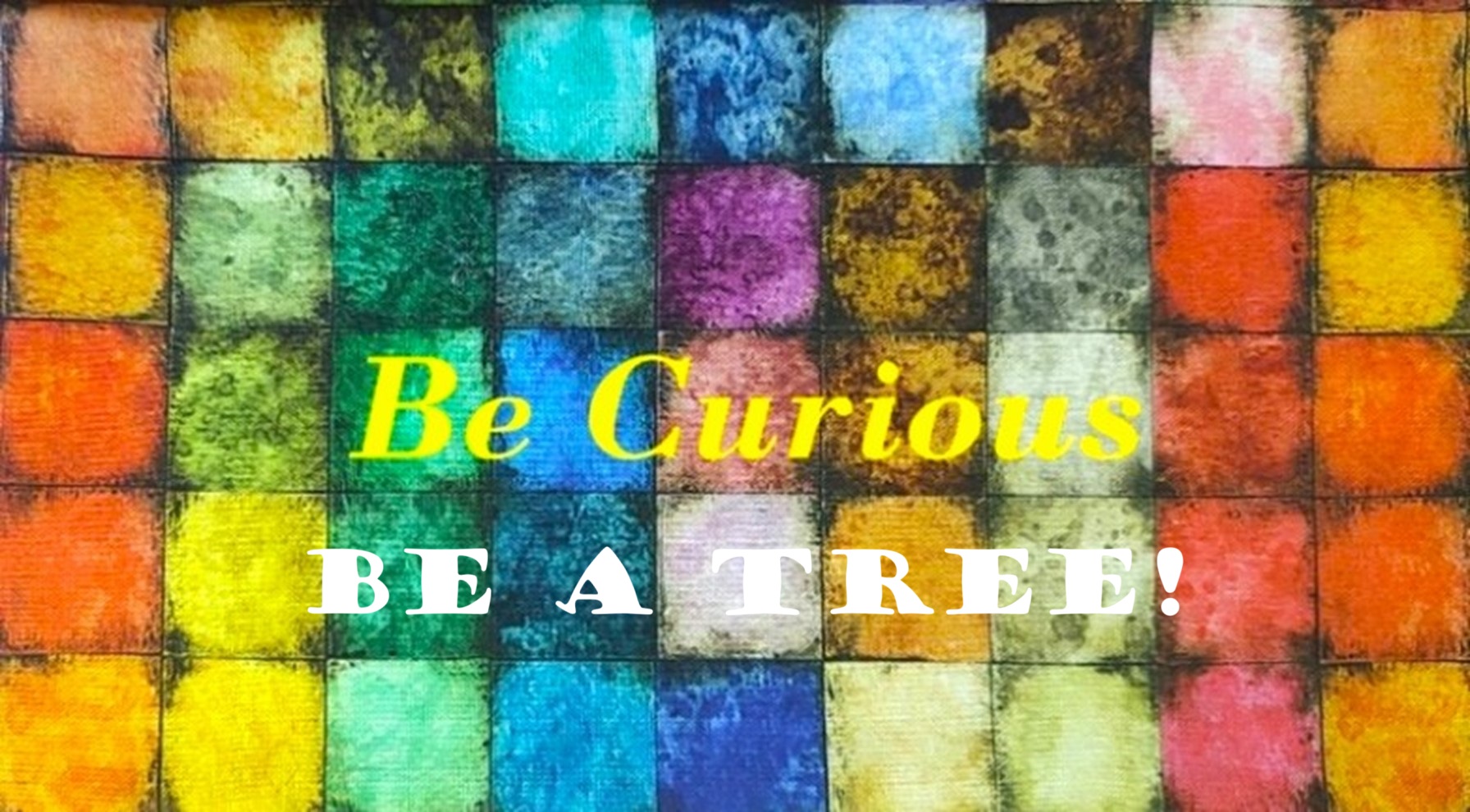 Be a Tree – Oldtown Church
